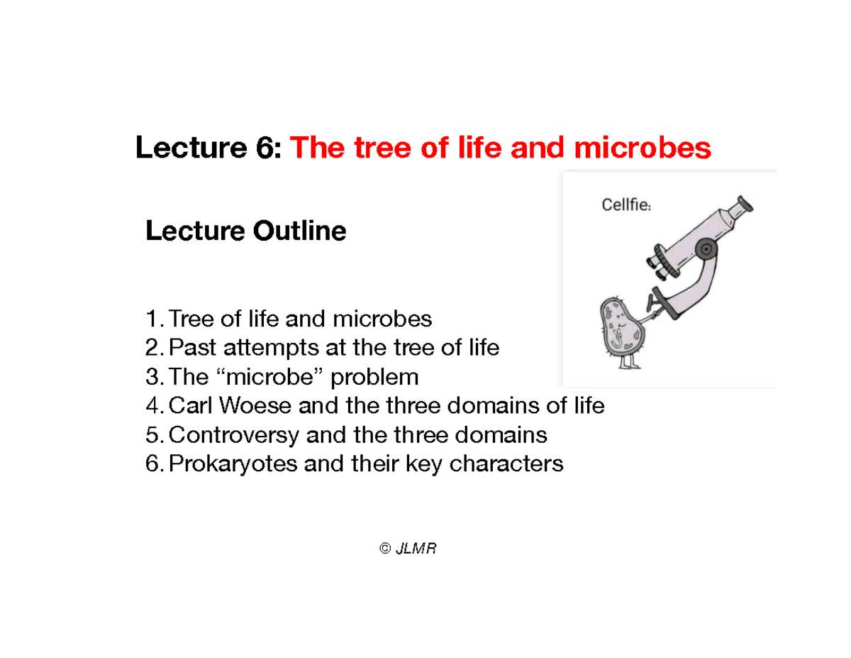 W26 Lecture 06: The Tree of Life and Microbes Overview - Studocu