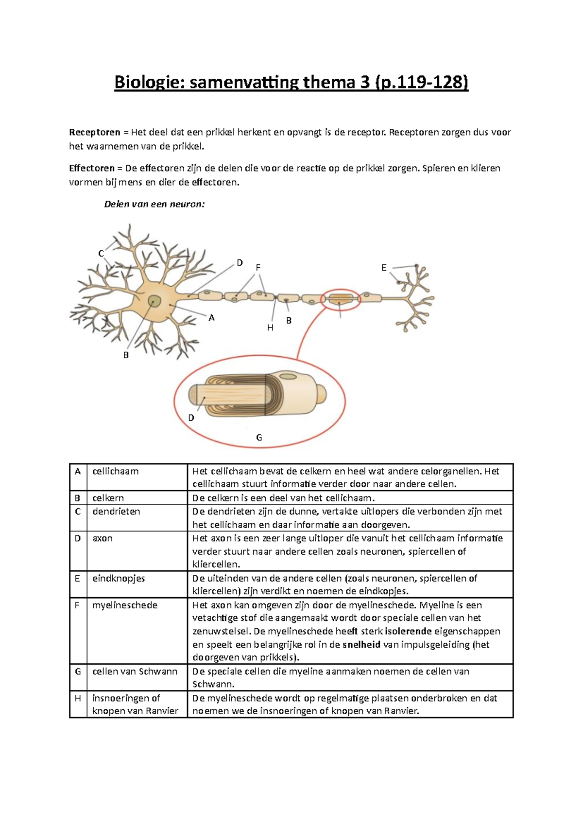 Biologie GENIE 3: Samenvatting Thema 4 - Klieren en Hun Functies - Studocu