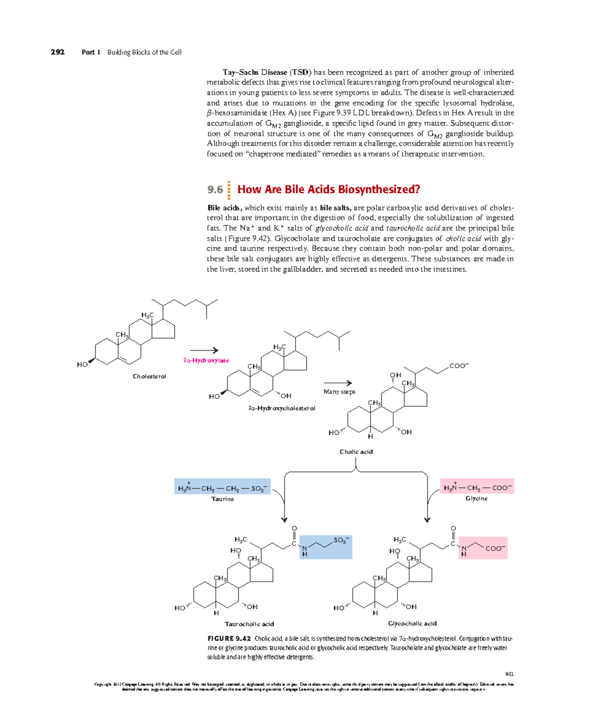 Biochemistry (2)-112 - N/A - 292 Part 1 Building Blocks of the Cell NEL ...