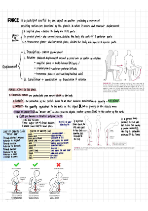 Lists of Special Tests - Orthopedic Physical Assessment - Joint ...