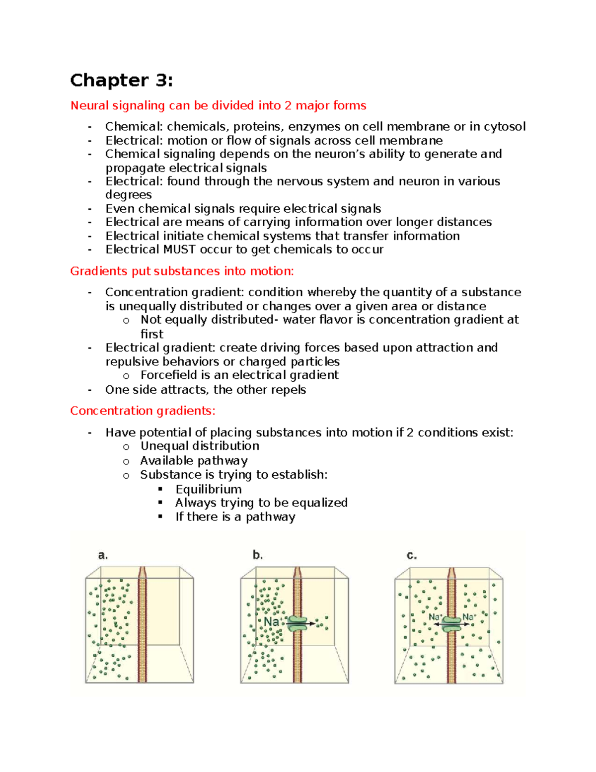 Neural Signaling and Resting Membrane Potential: Mechanisms & Functions ...