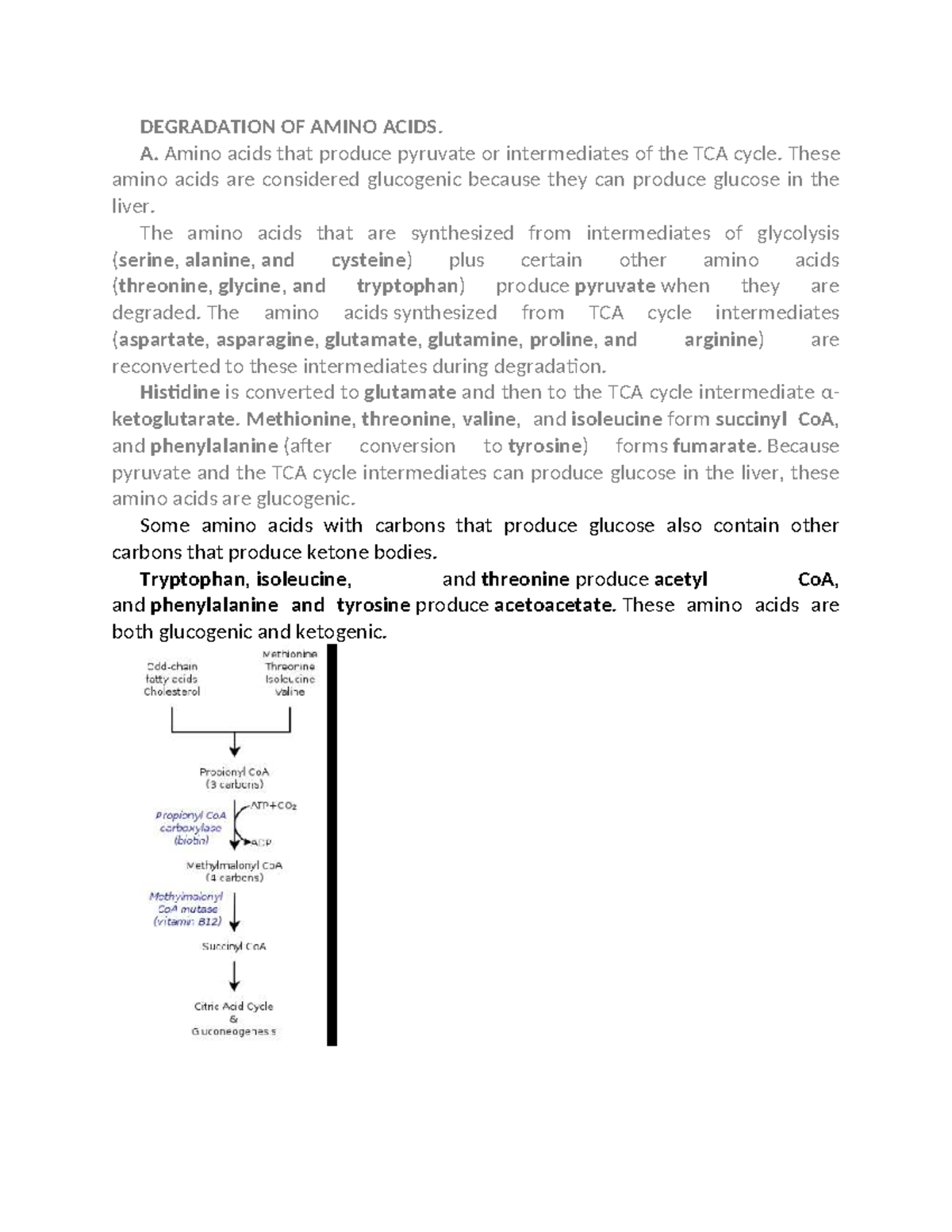 Biochem 101: Degradation of Amino Acids & Genetic Analysis - Studocu