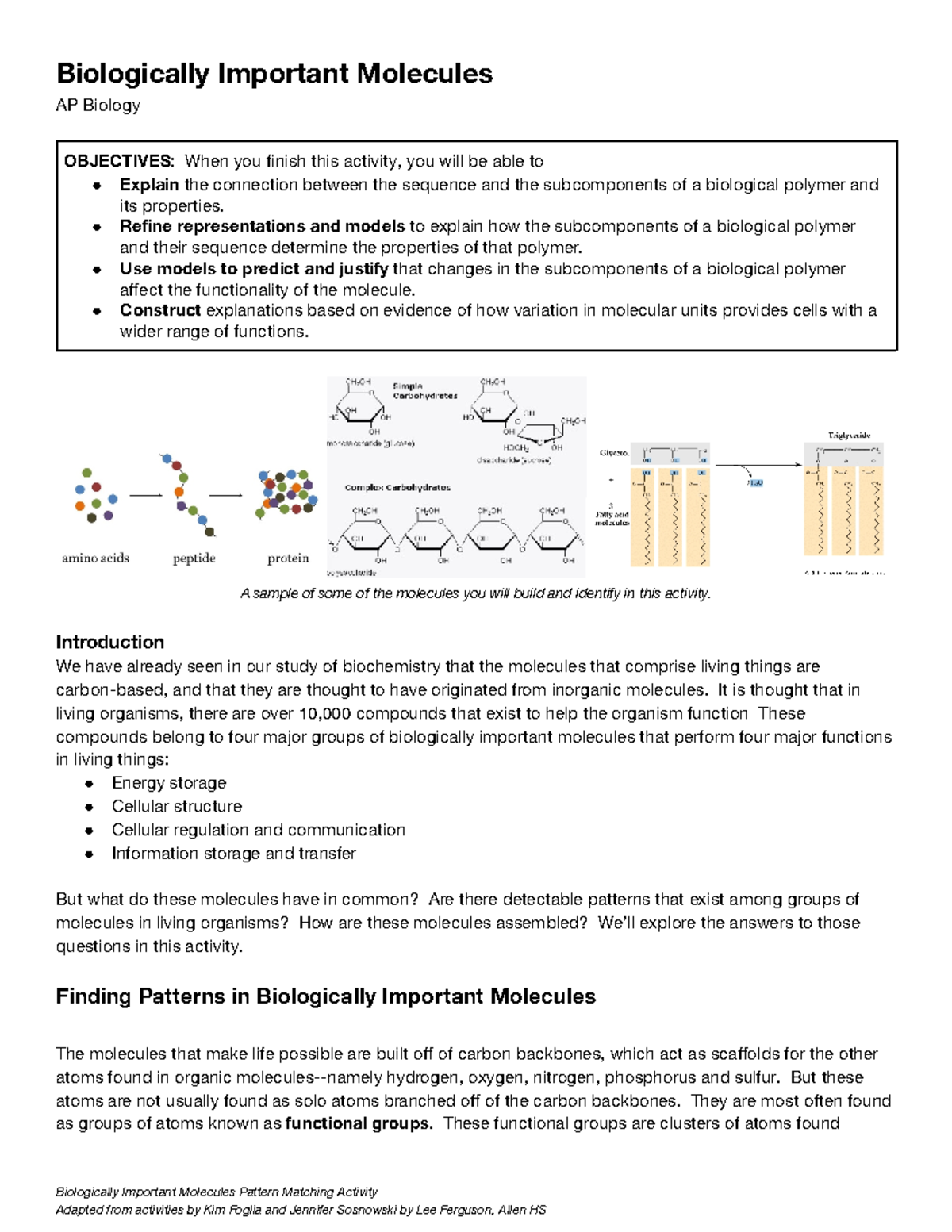 AP Biology Activity: Exploring Biologically Important Molecules - Studocu