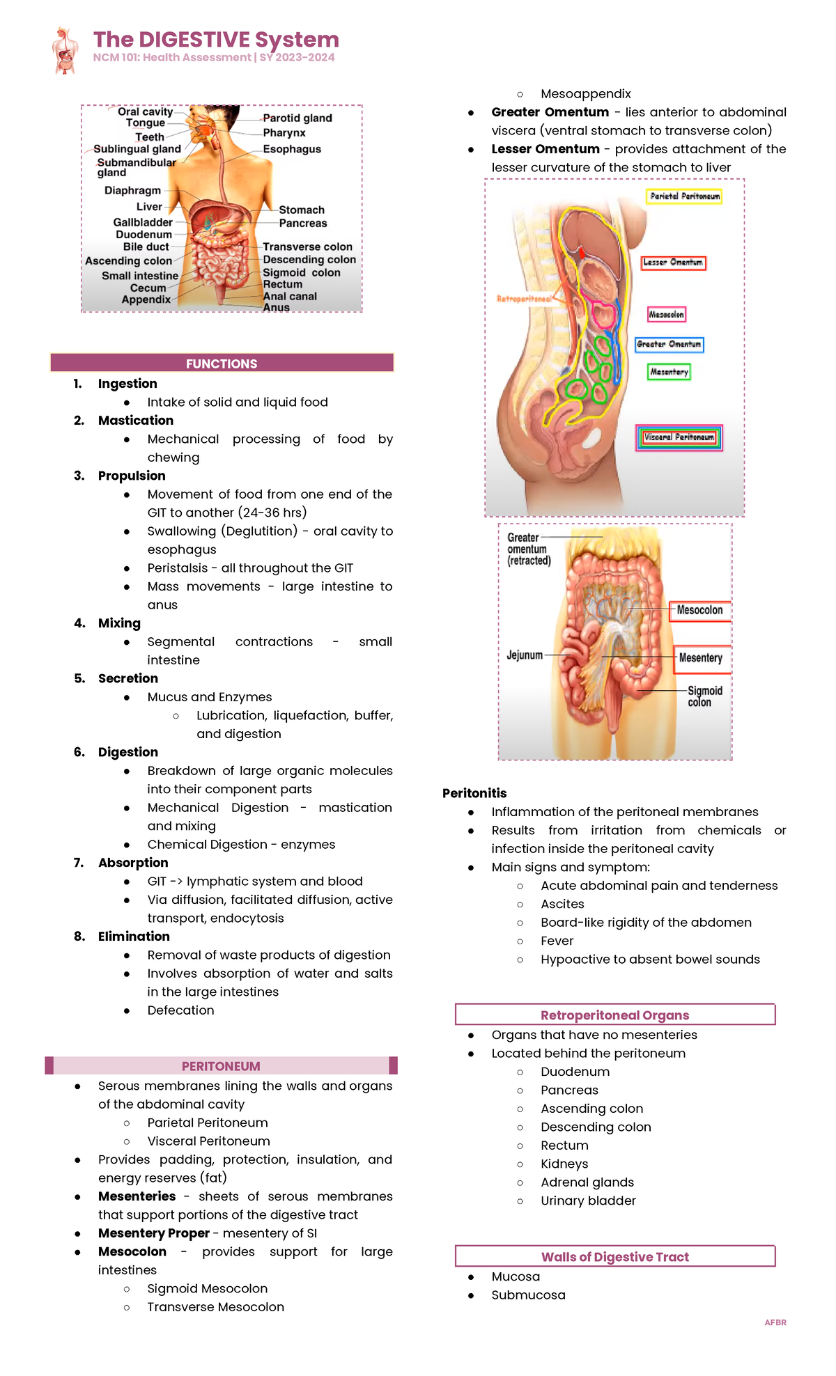 The Digestive System - Anatomy & Physiology - The DIGESTIVE System NCM ...