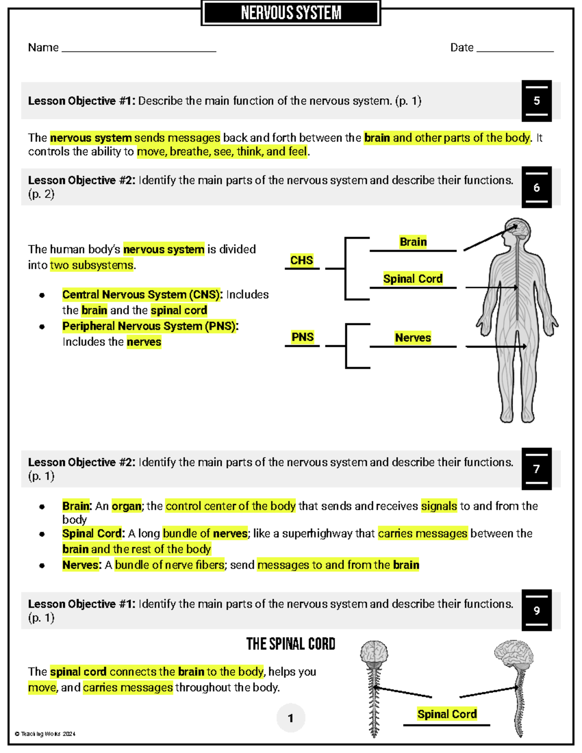 Kami Export - Guided Notes Answer Key Nervous System - Name