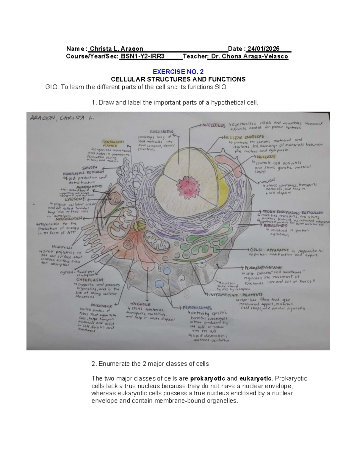 LAB Exercise GIO: Cellular Structures & Functions (BIO 101) - Studocu