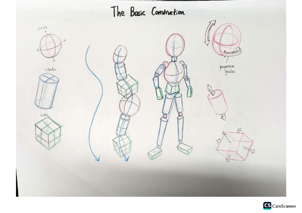 Animation Drawing: The Anatomy of Basic Shapes and Techniques - Studocu