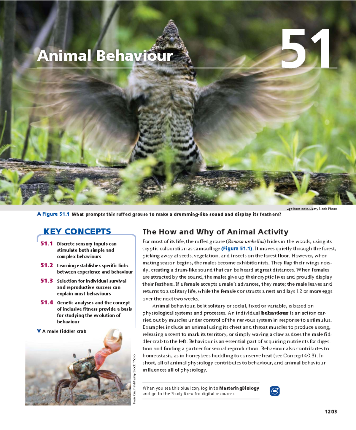 Animal Behaviour Concepts in BIO153: Chapter 51 Overview - Studocu