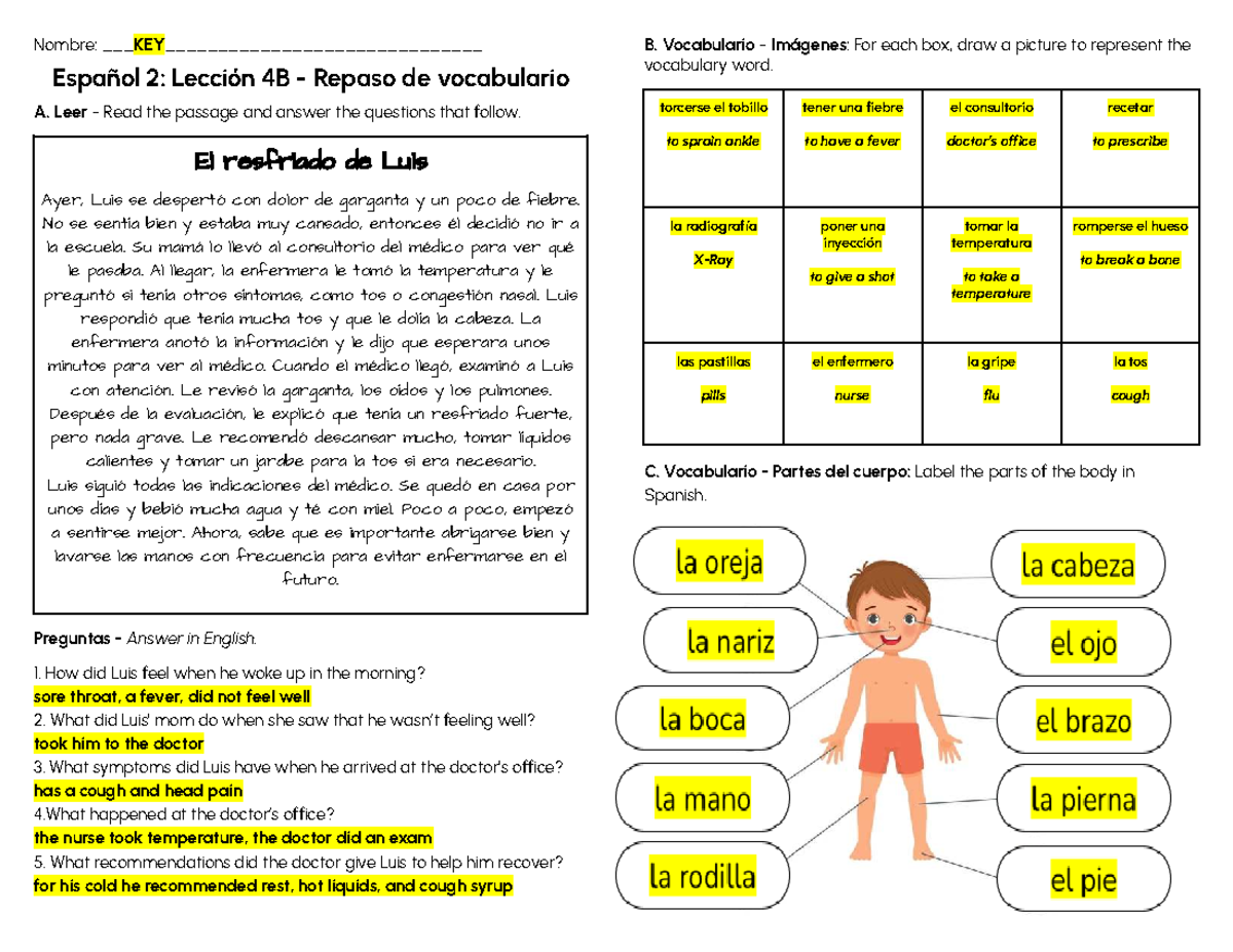 Español 2: Lección 4B - Repaso de Vocabulario y Preguntas - Studocu