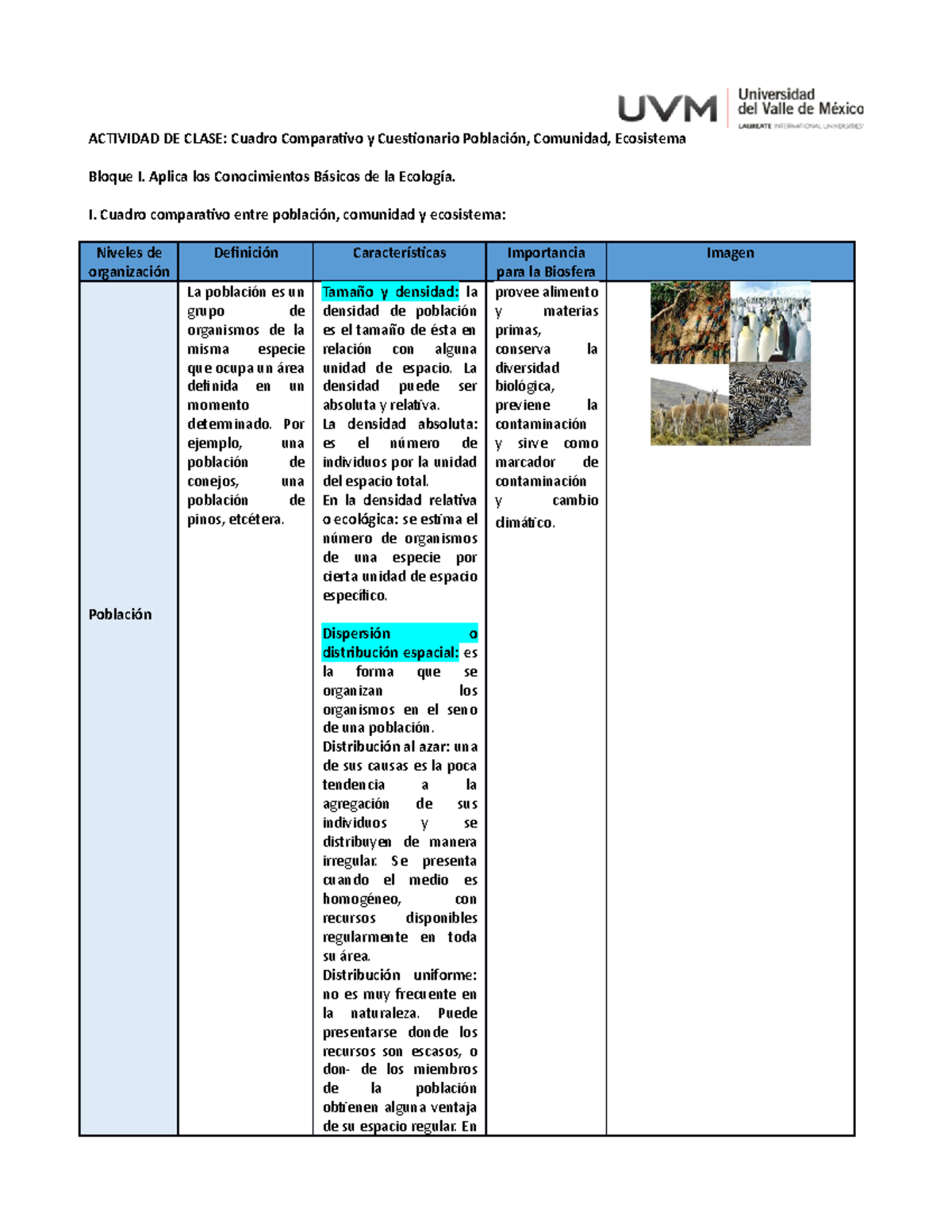 Cuadro Comparativo Tipos De Biomas Tipo De Bioma Distribucion Y Images