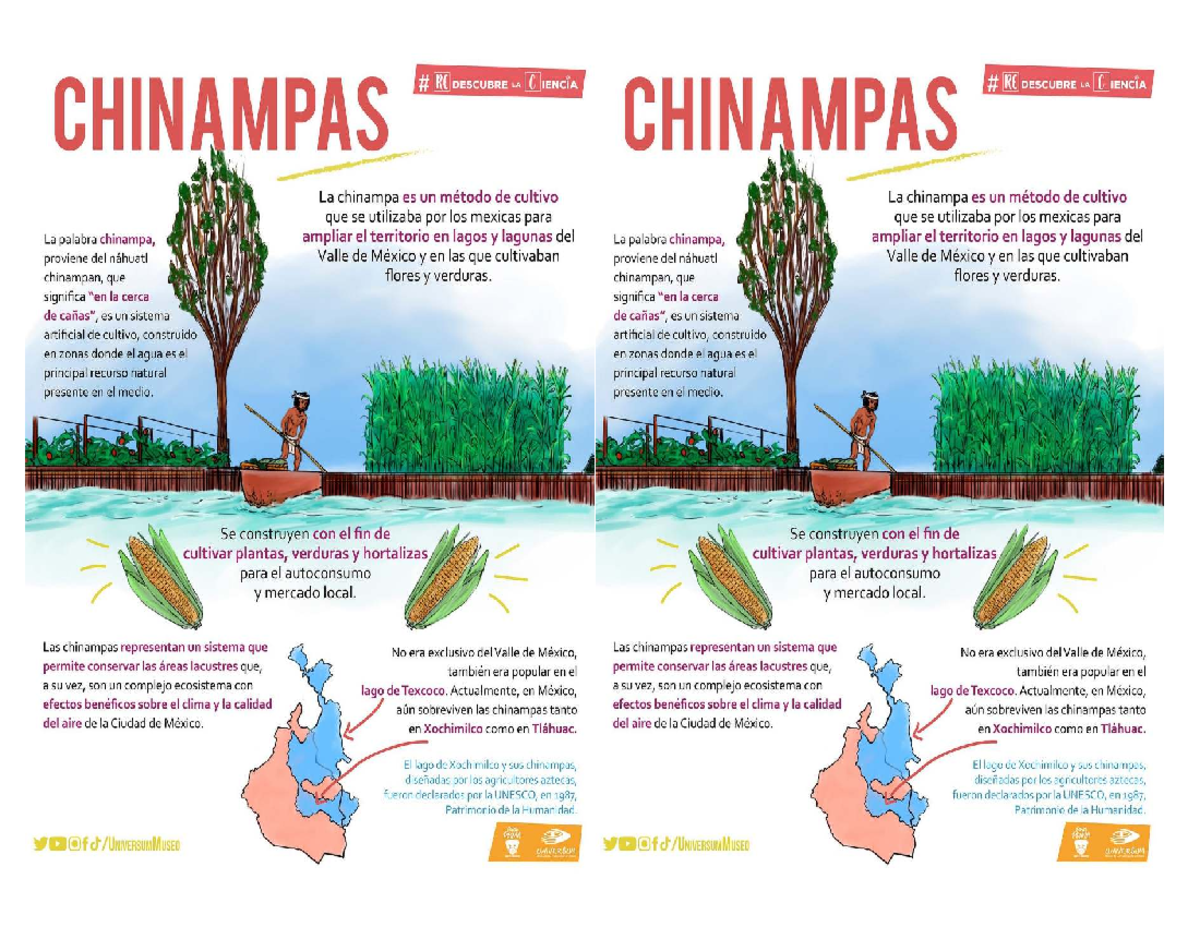 Chinampas: Método de Cultivo Mexica - PUMA UNiVERSUM - Studocu