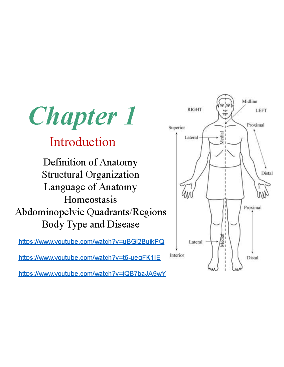 Anatomy 101: Chapter 1 - Introduction to Structural Organization and ...