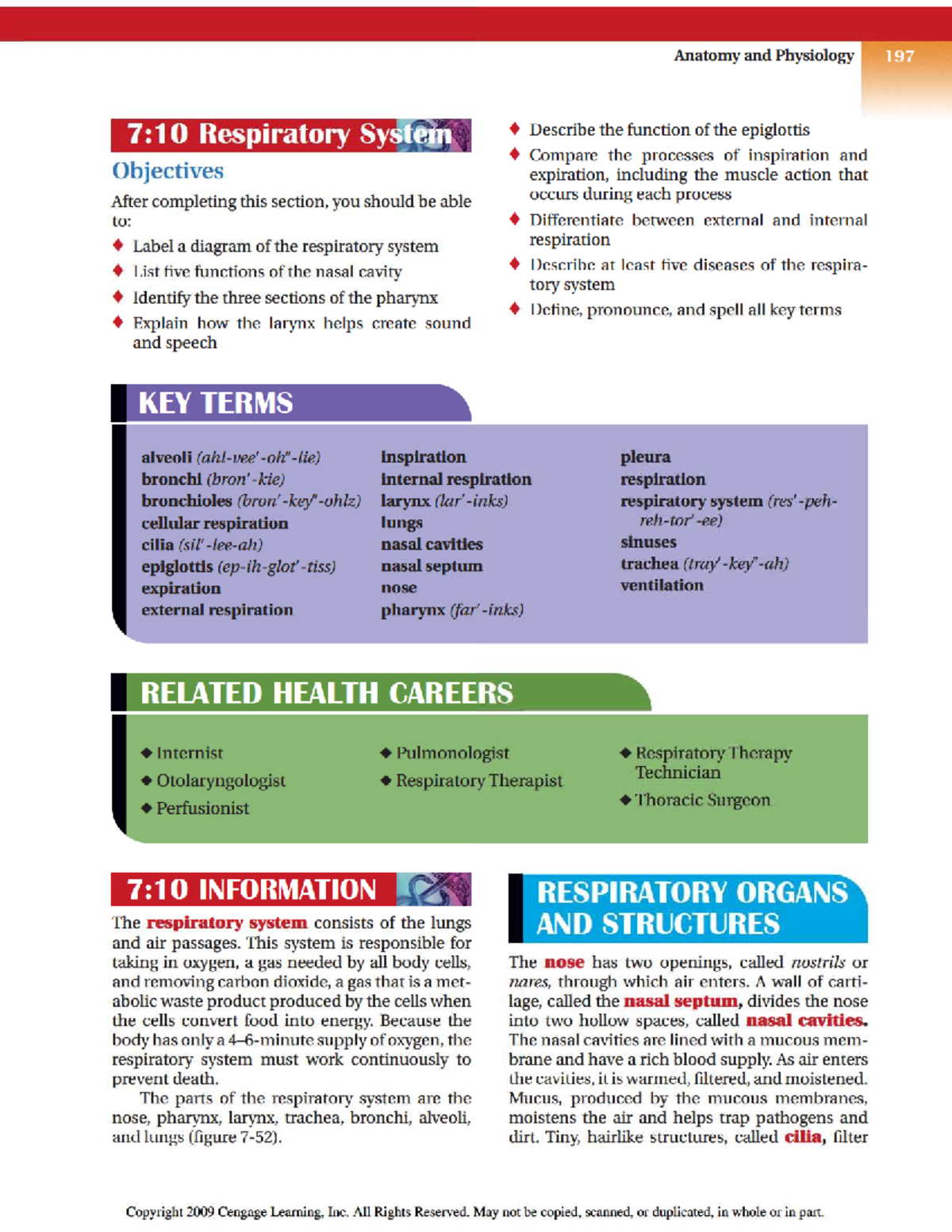 Chapter 07-10: Respiratory System Overview and Key Concepts - Studocu