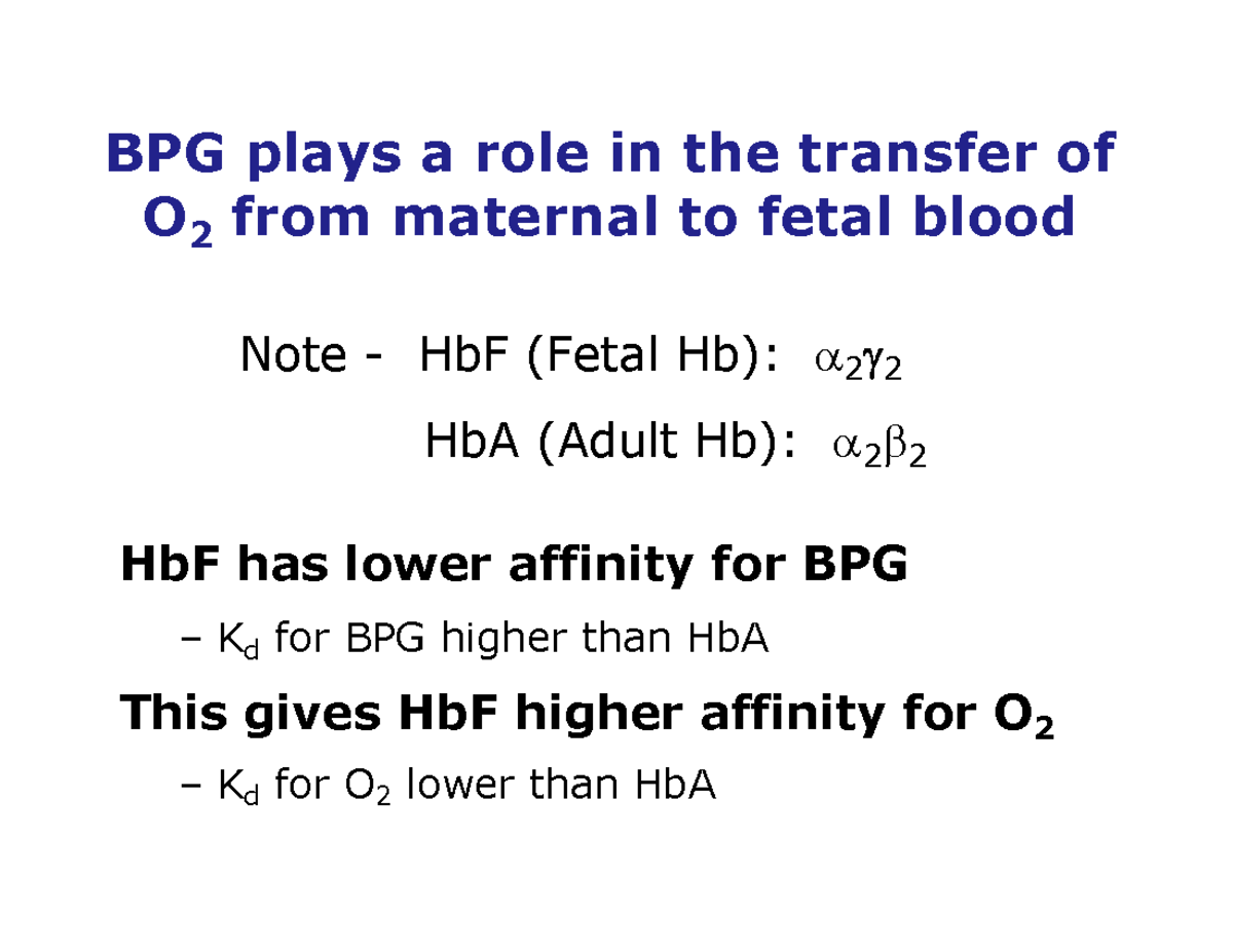 BIOC 3560 Lecture 9 - BPG plays a role in the transfer of O 2 from ...