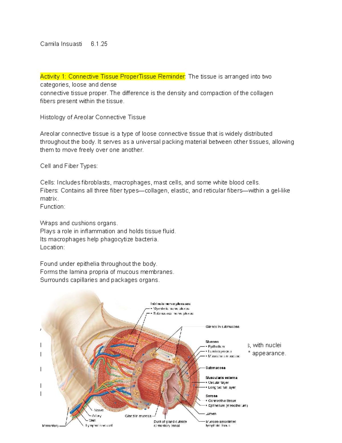Lab 7 - Anatomy: Connective Tissue Types and Functions - Studocu