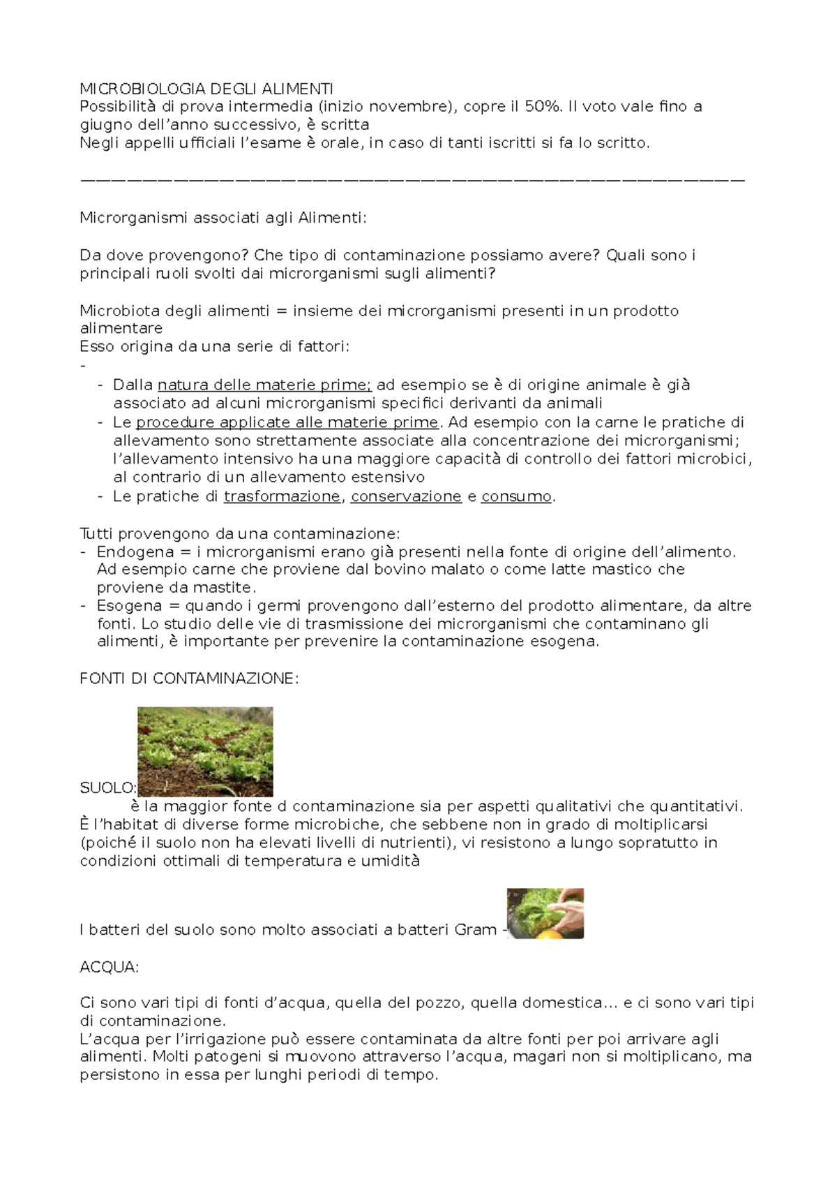 Microbiologia degli Alimenti: Prova Intermedia e Contaminazione (251102 ...