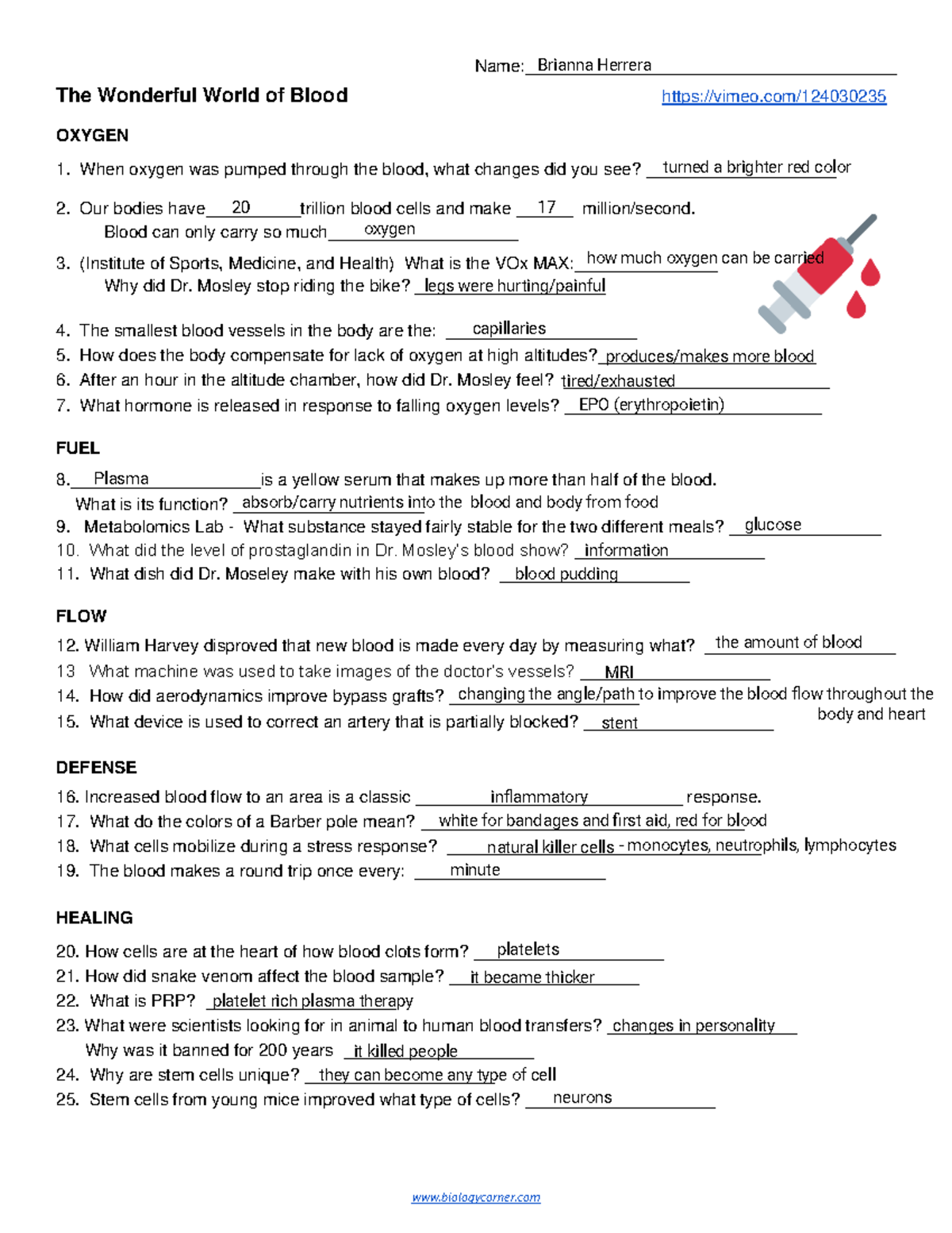 BIOL 101: The Fascinating World of Blood - Functions, Transport, and ...