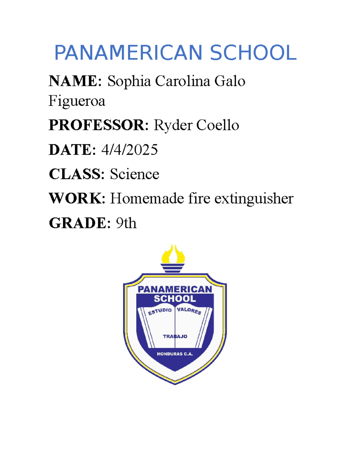 Homemade Fire Extinguisher Experiment - Grade 9 Science Project - Studocu