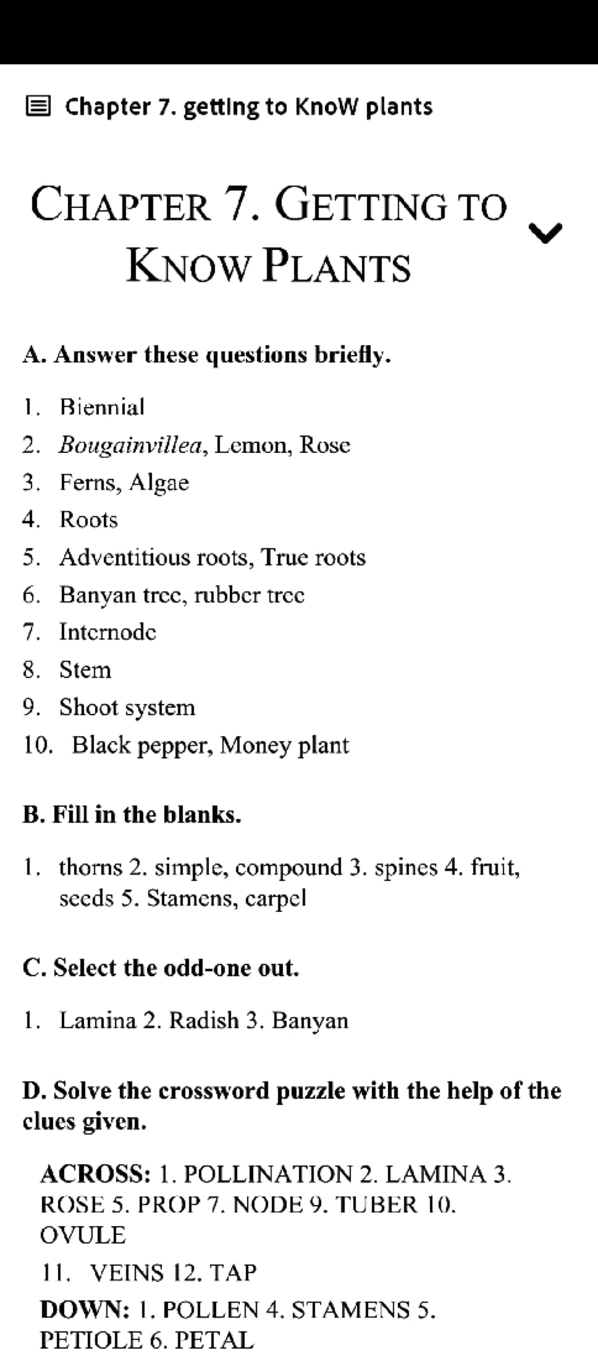 Science CH 7: Understanding Plants Workbook - ggffrtgte45 - Studocu
