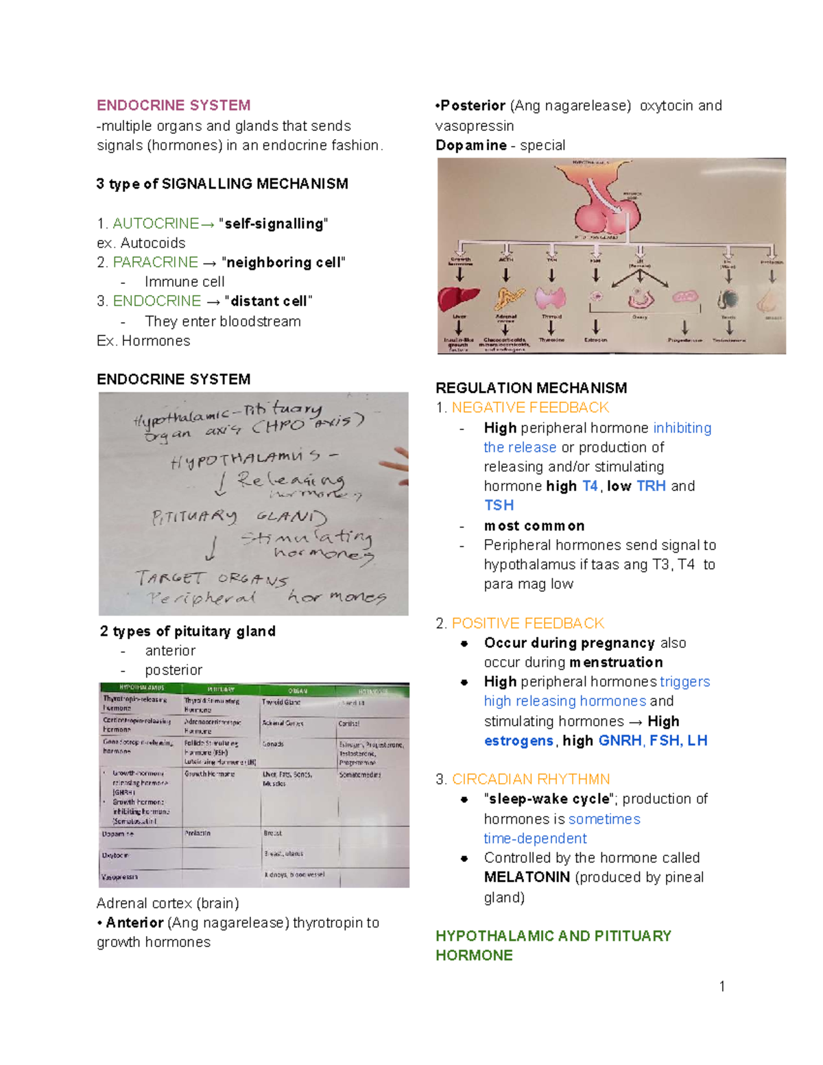 PCOL PRE-FI(T1) - Endocrine System Overview and Hormonal Mechanisms ...