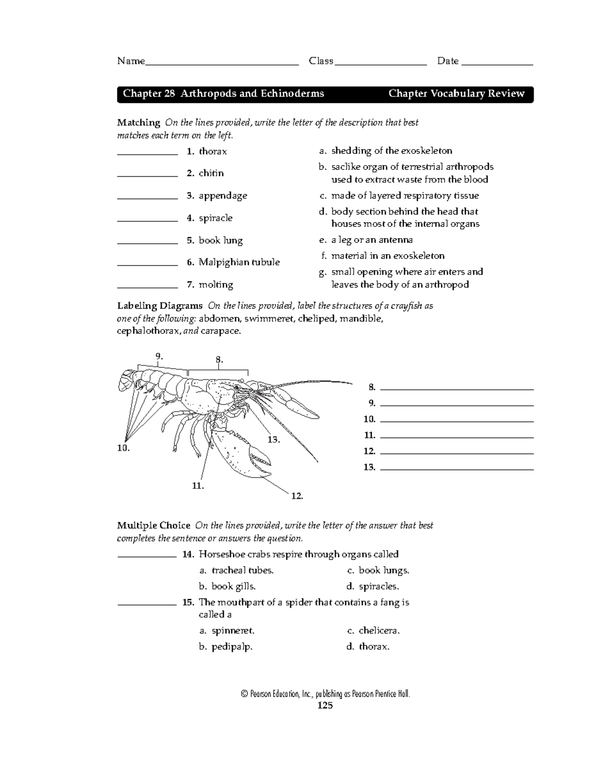Bio07_CH28_Arthropods_and_Echinoderms_Review_Packet - Studocu