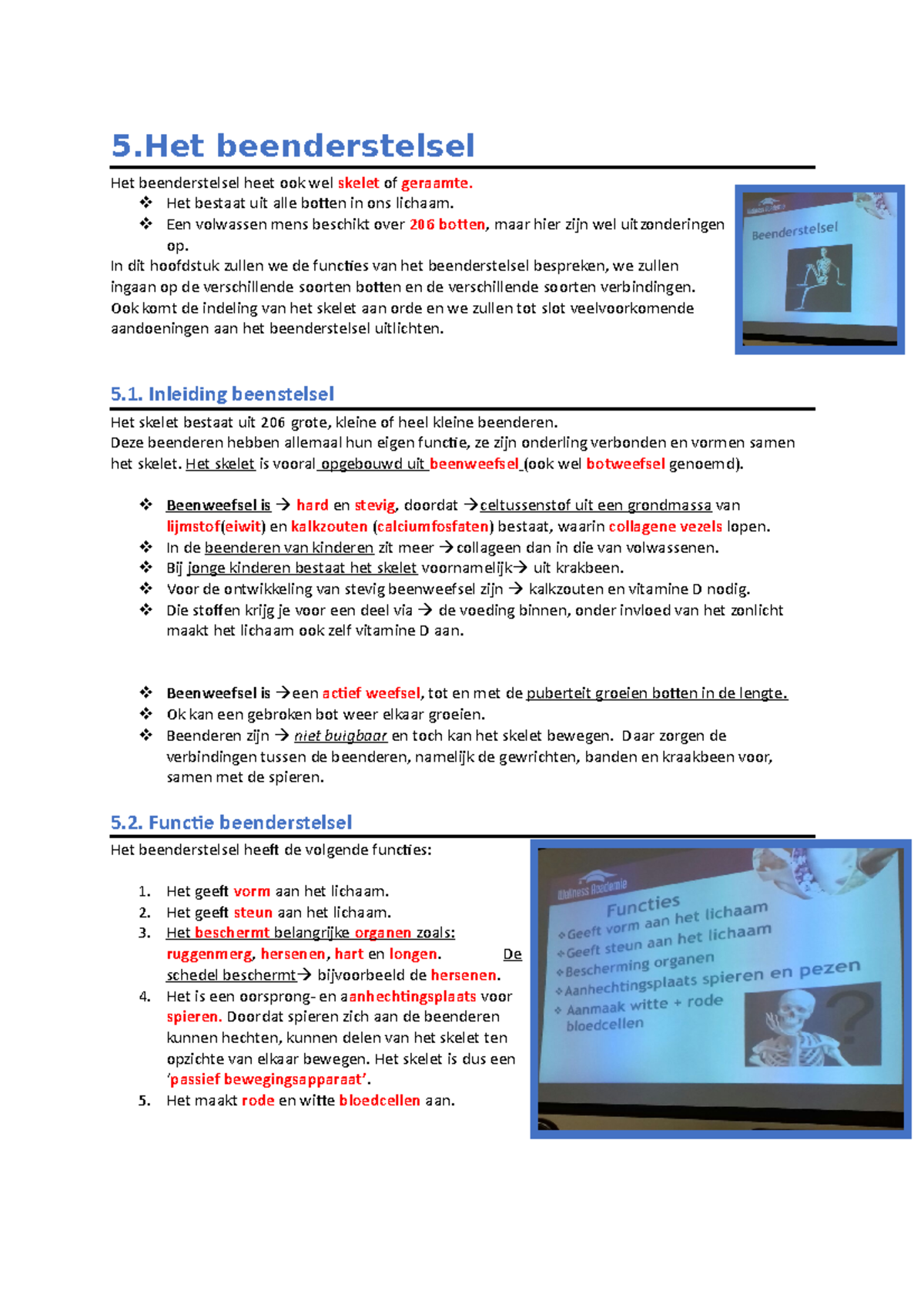 5.Het beenderstelsel - Het bestaat uit alle botten in ons lichaam. Een ...