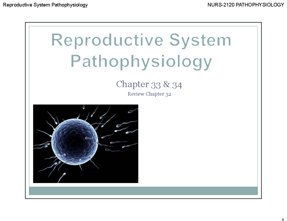 Reproductive System Pathophysiology P12 - Lecture Notes (Ch 32-34 ...