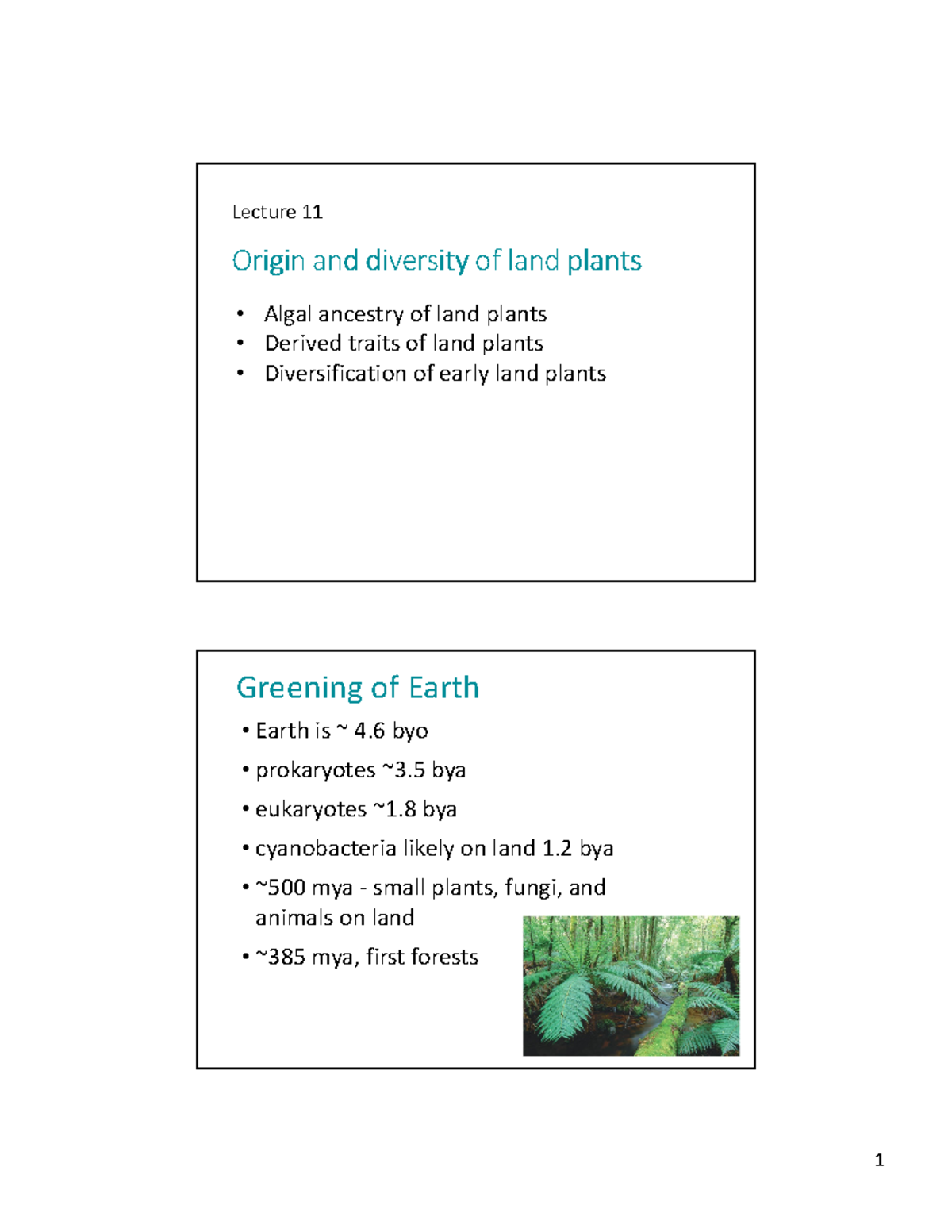 Lecture 11: Origin and Diversity of Land Plants (Bio Course Code) - Studocu