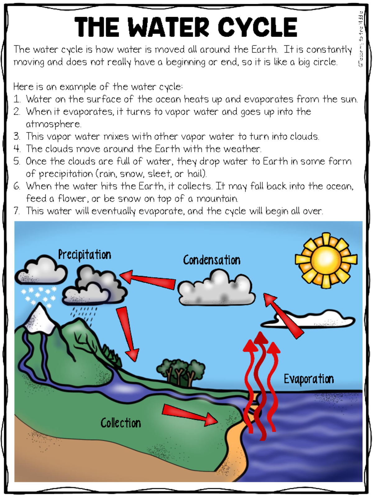 6 - Water Cycle Reading Comprehension Worksheet for Science Class - Studocu