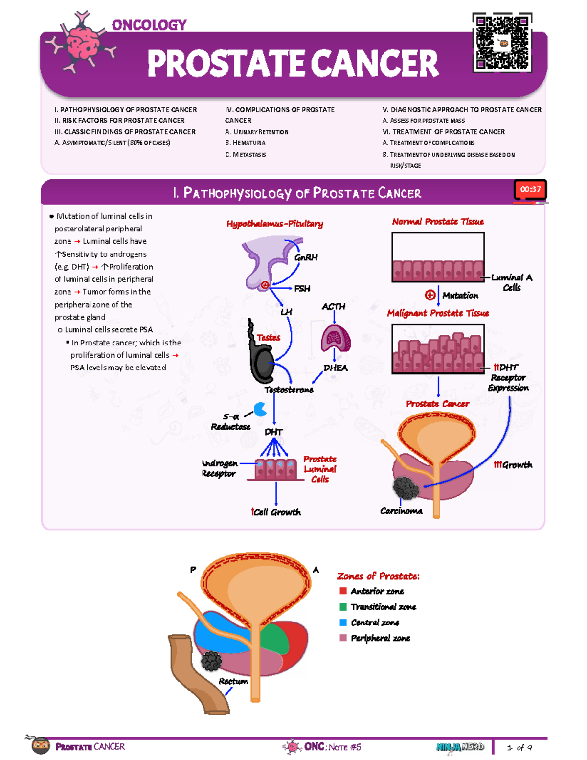 ONC-05: Prostate Cancer - Pathophysiology, Risk Factors, and Treatment ...