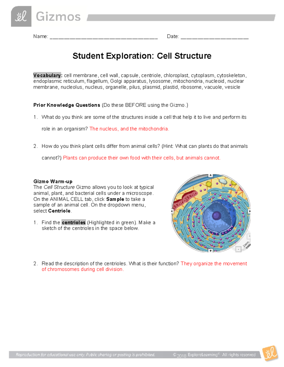 Cell Structure Exploration SE - Gizmo Guide and Activities - Studocu