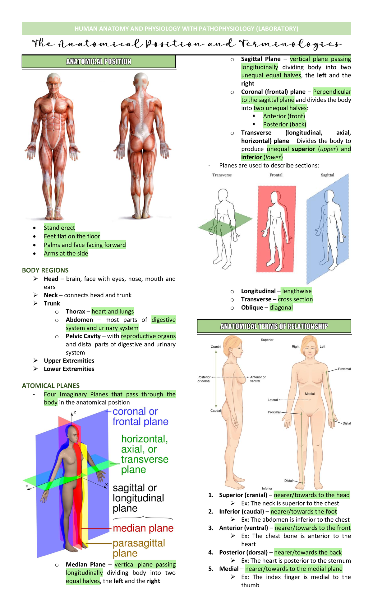 HUMAN ANATOMY AND PHYSIOLOGY WITH PATHOPHYSIOLOGY (LAB) - Comprehensive ...