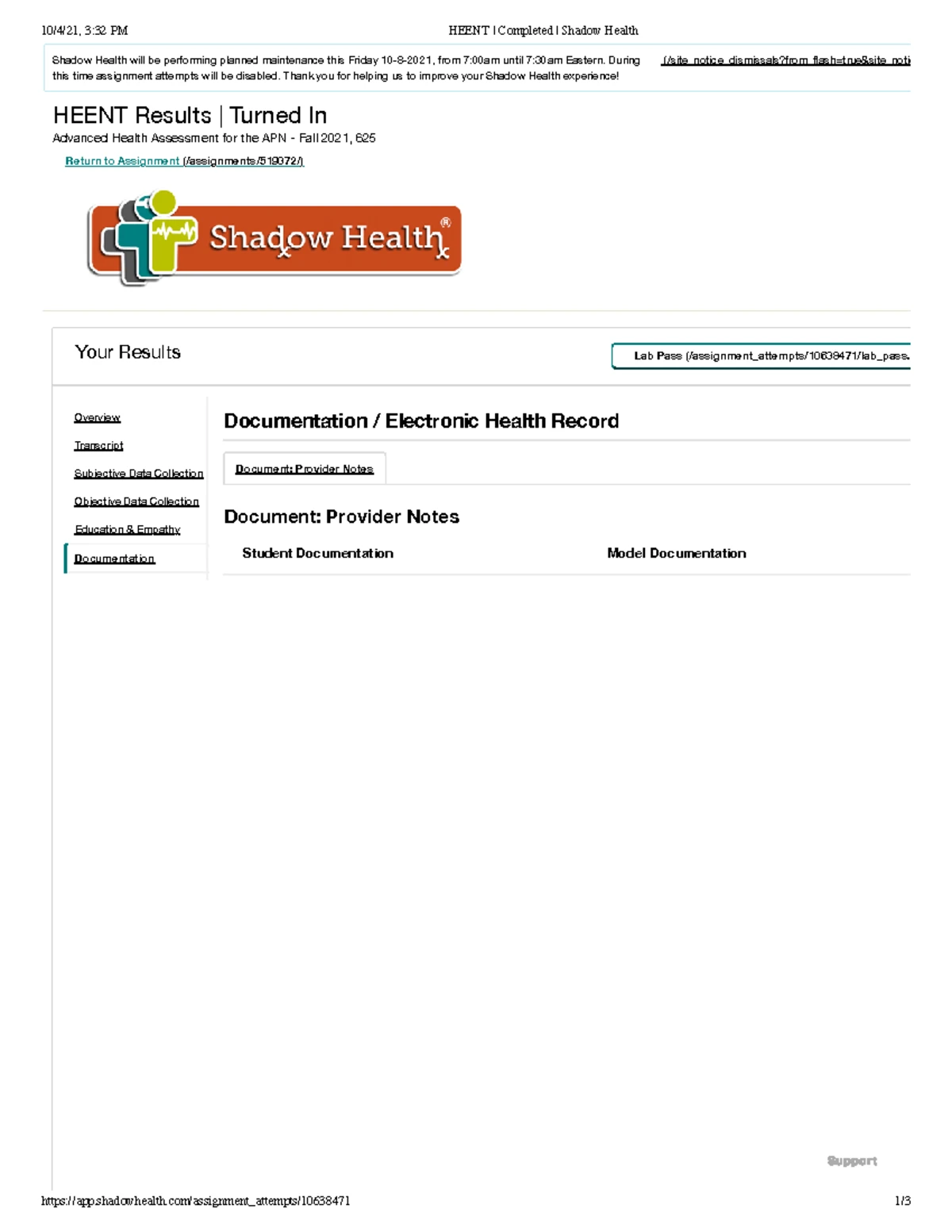 Neurological Subjective Shadow Health - Neurological Results | Turned ...