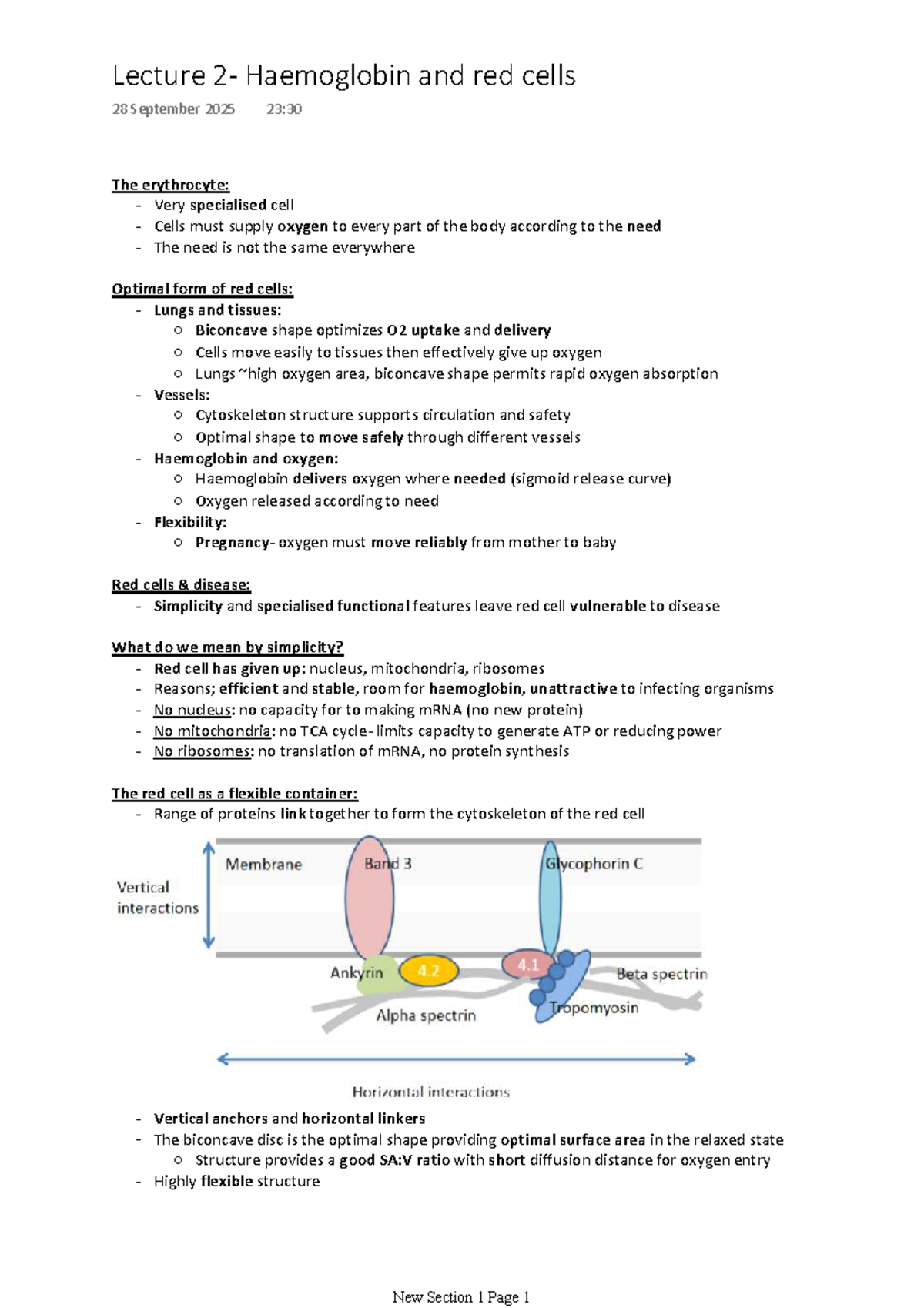 Lecture 2: Haemoglobin and Red Cells Overview - Studocu
