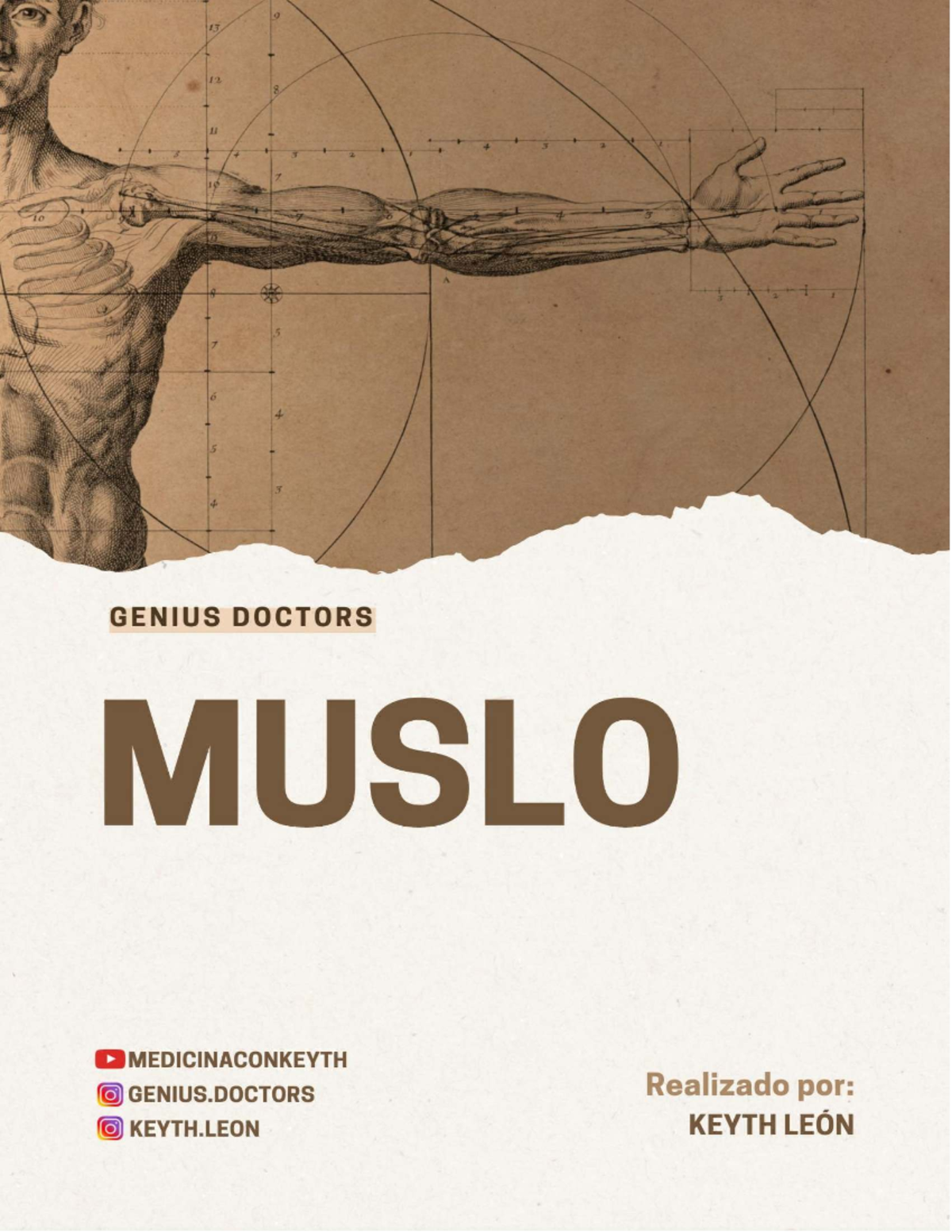Muslo: Anatomía y Funciones Esenciales - Estudio GENIUS 13 12 8 11 10 5 ...