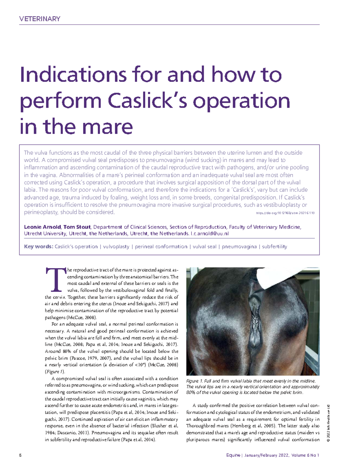 VETERINARY Indications and Techniques for Vulvoplasty in Mares - Studocu