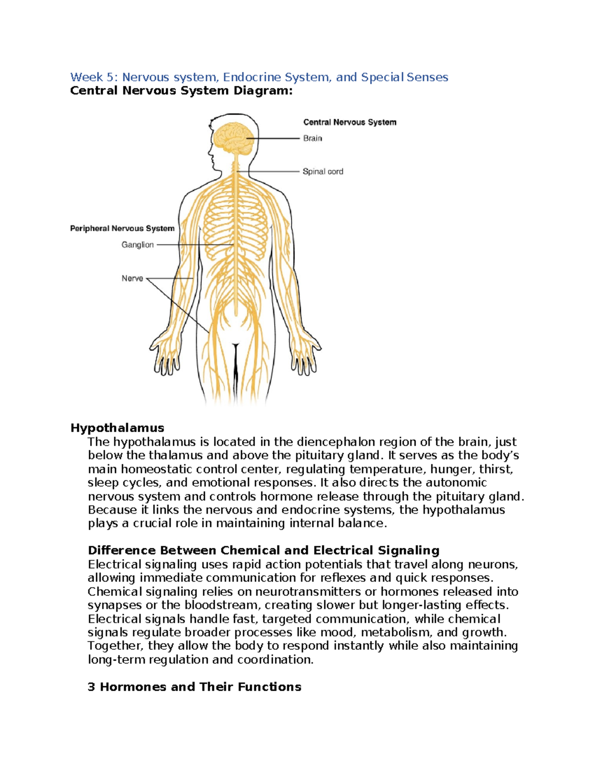 Week 5: Nervous & Endocrine Systems Overview and Key Concepts - Studocu