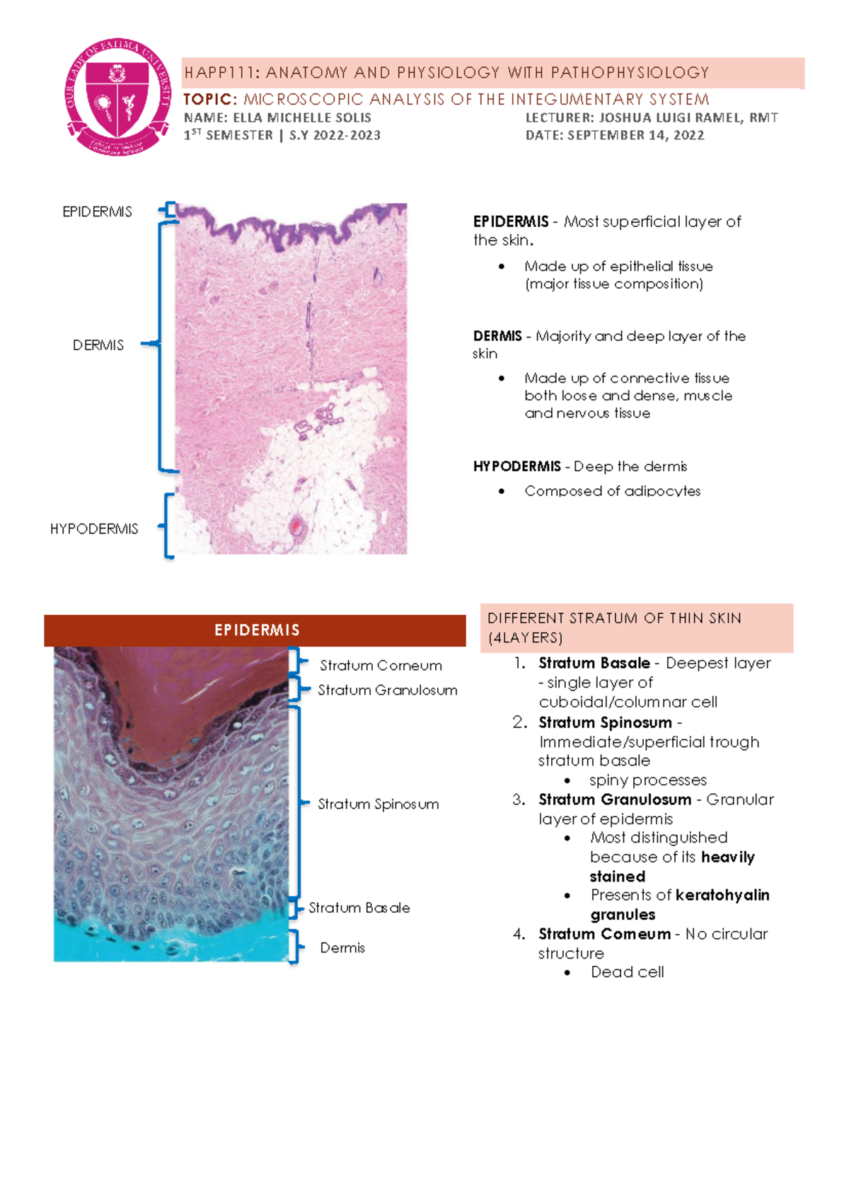 HAPP111 - Microscopic Analysis OF Integumentary System - TOPIC ...