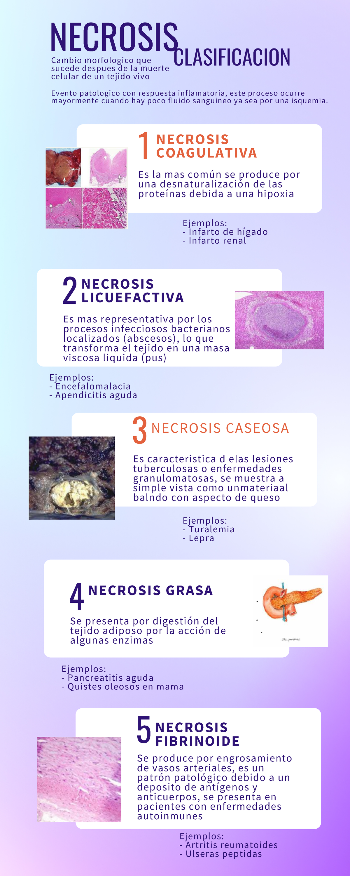 Clasificación de la Necrosis en Procesos Patológicos - Studocu