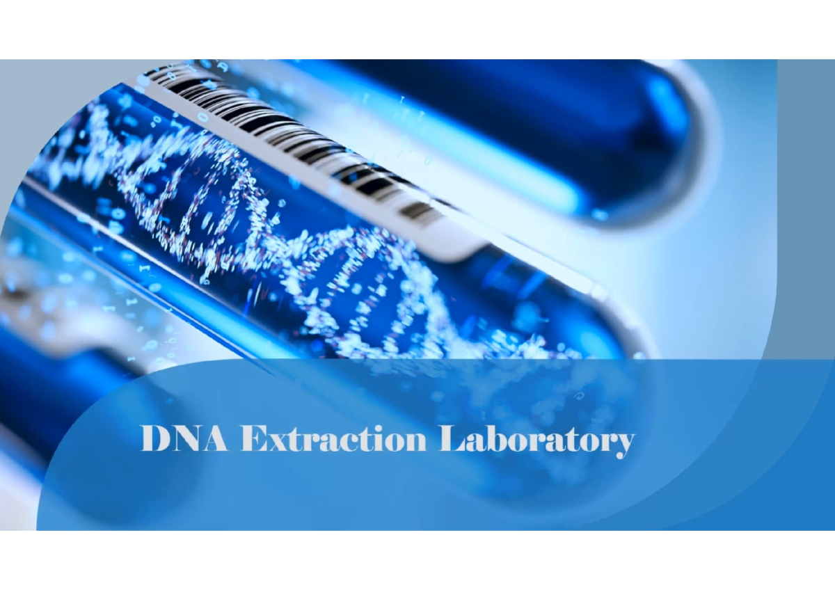 DNA Extraction Laboratory Methods - BS Medical Technology - Studocu