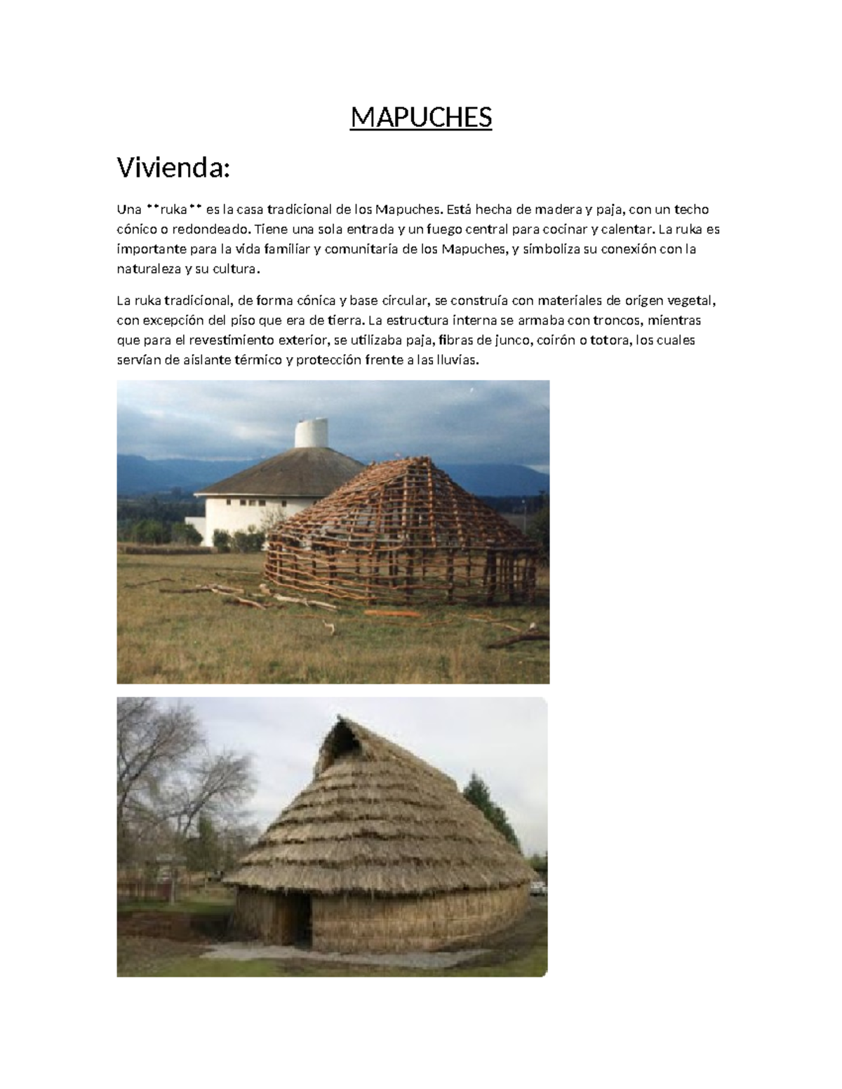 MAPUCHES: Vivienda, Vestimenta y Forma de Vida en el Sur de Chile - Studocu