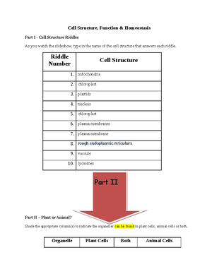 Cladogram Phylogenetic Tree Practice - AP Biology Phylogeny Review ...