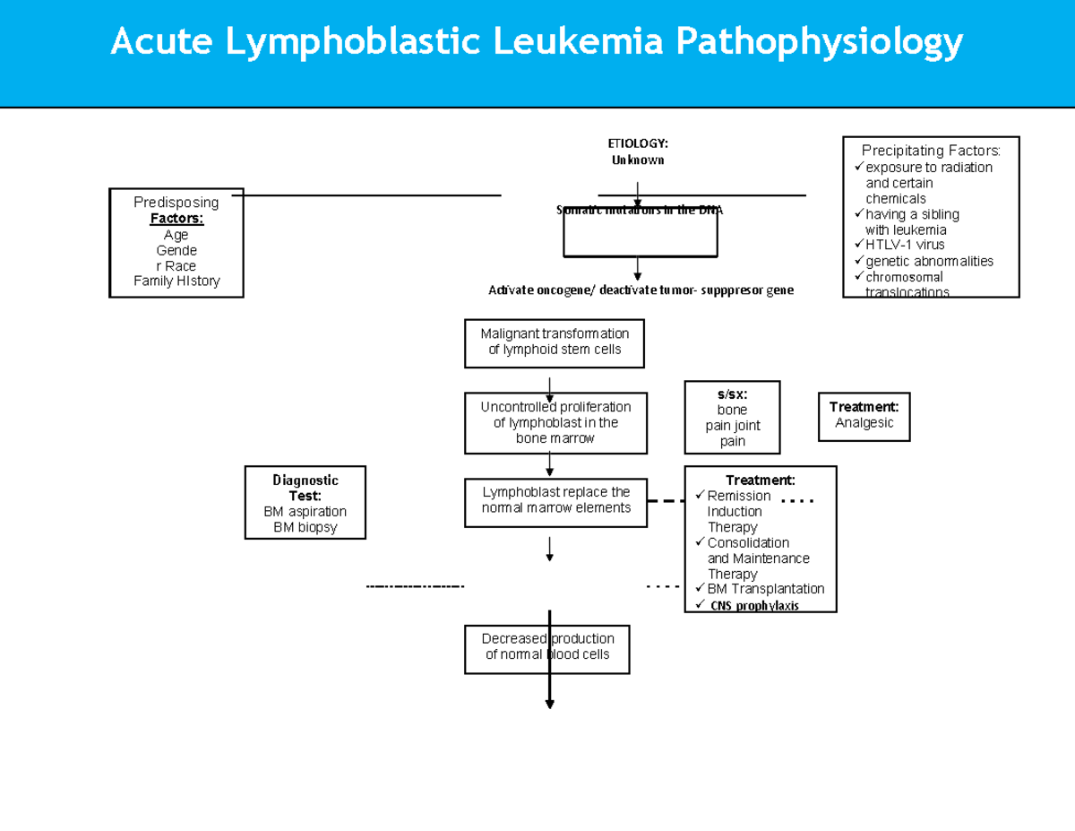 Acute Lymphoblastic Leukemia Pathophysiology & Treatment Overview - Studocu