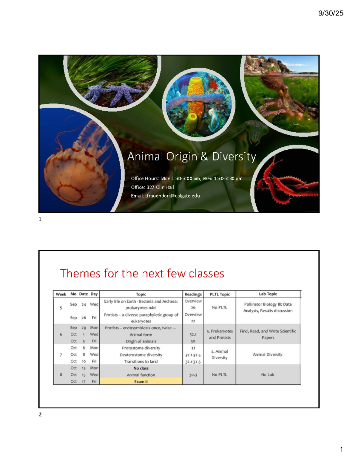 Animal Characteristics and Diversity in Life Cycles - Bio 101 Notes ...