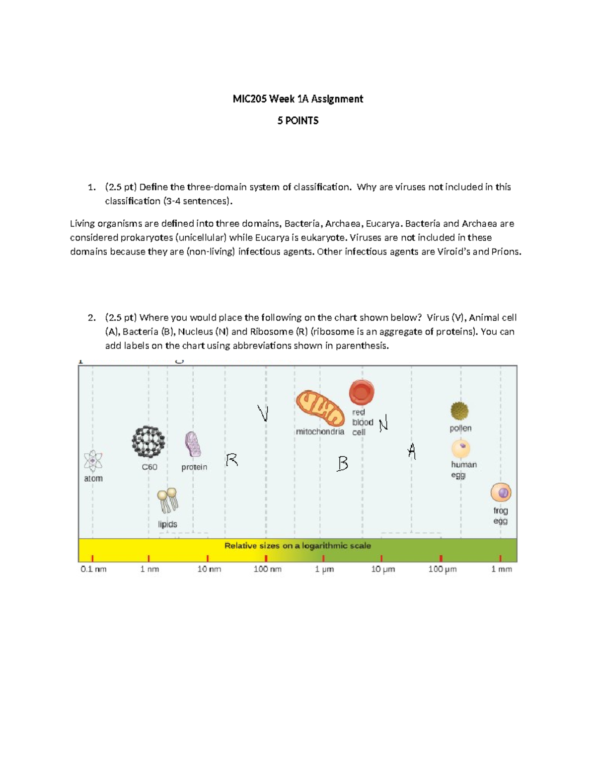 MIC205 Week 1A Assignment: Three-Domain Classification of Life - Studocu