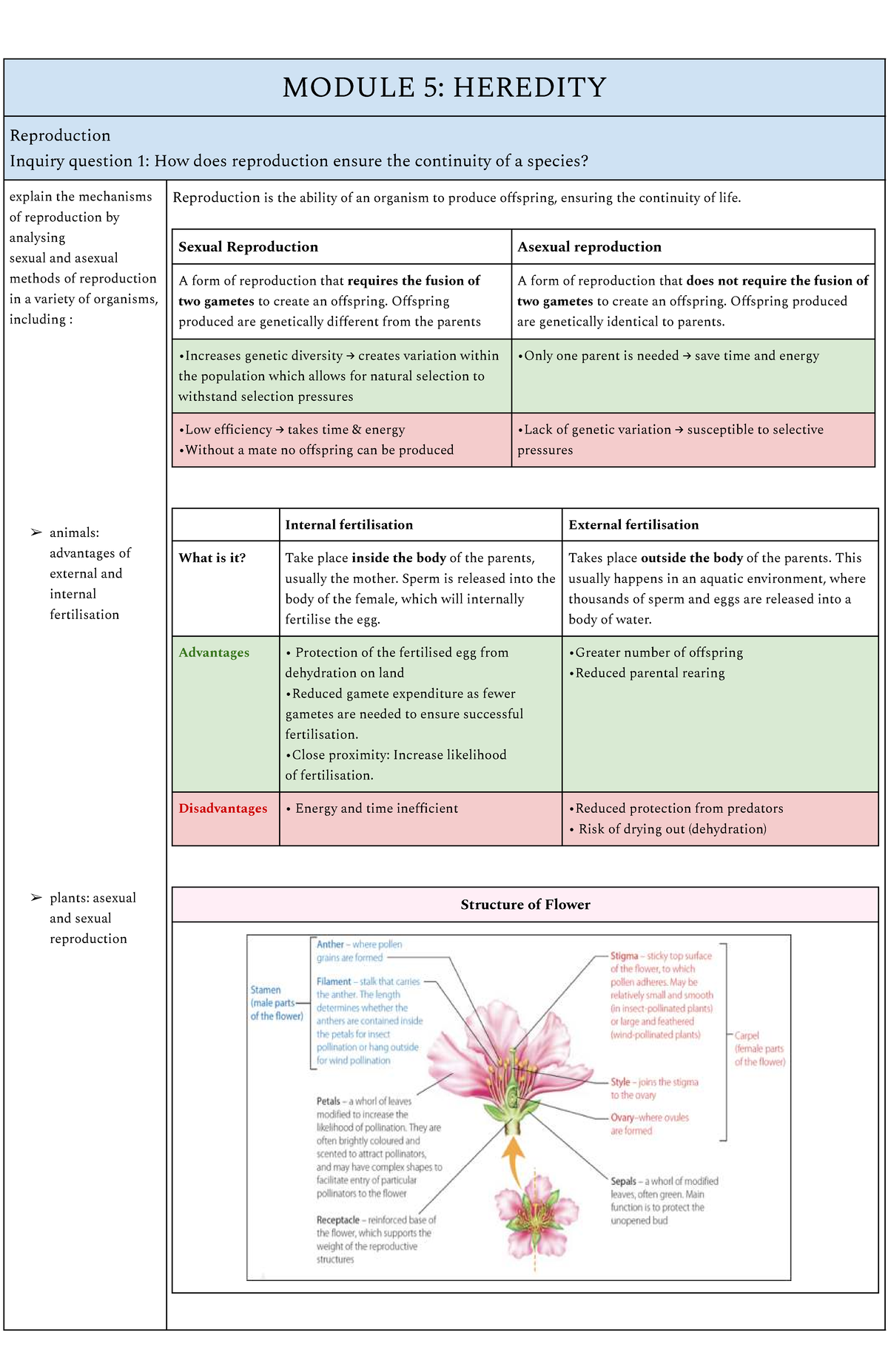 Module 5: Heredity - MODULE 5: HEREDITY Reproduction Inquiry question 1 ...