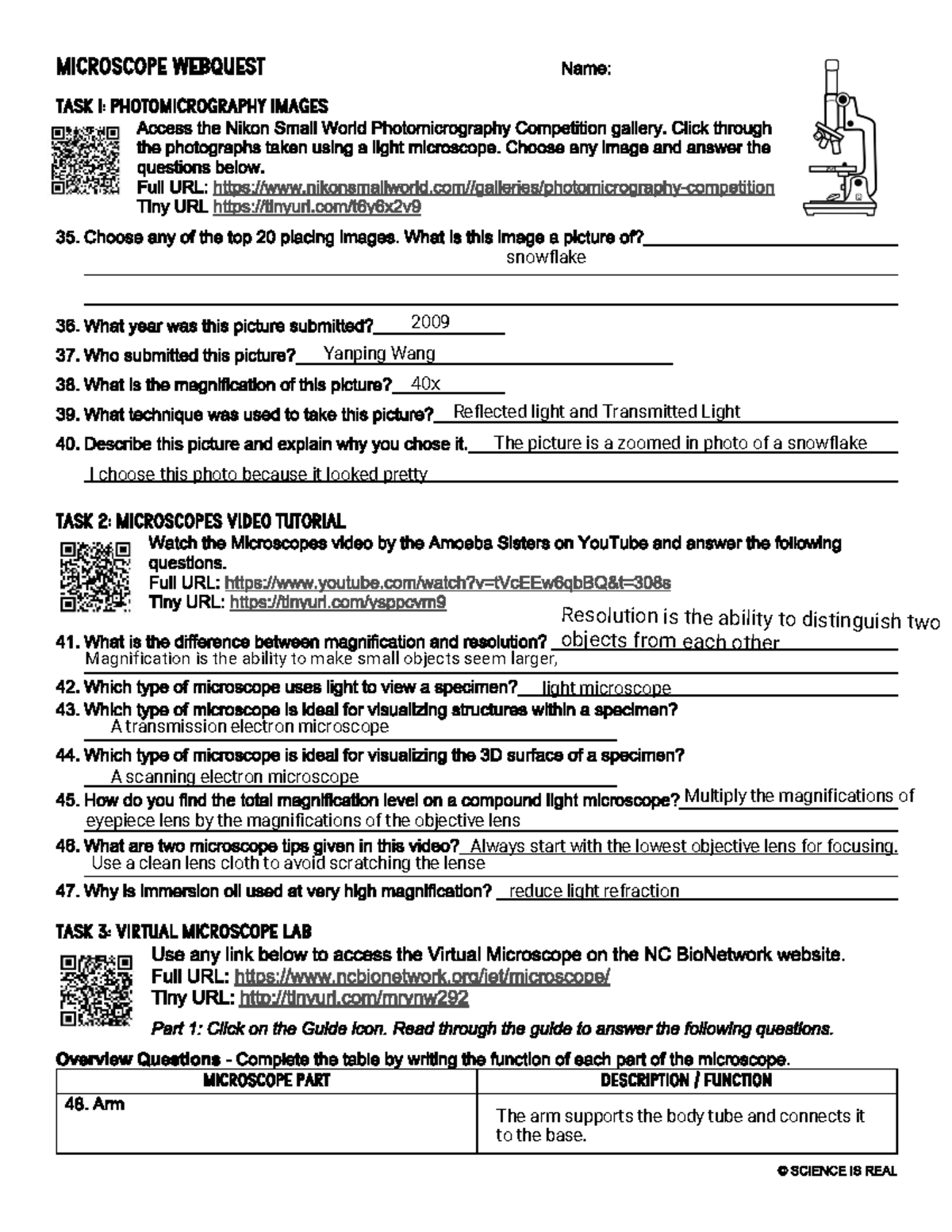Microscope Webquest-1 - snowflake 2009 Yanping Wang 40x Reflected light ...