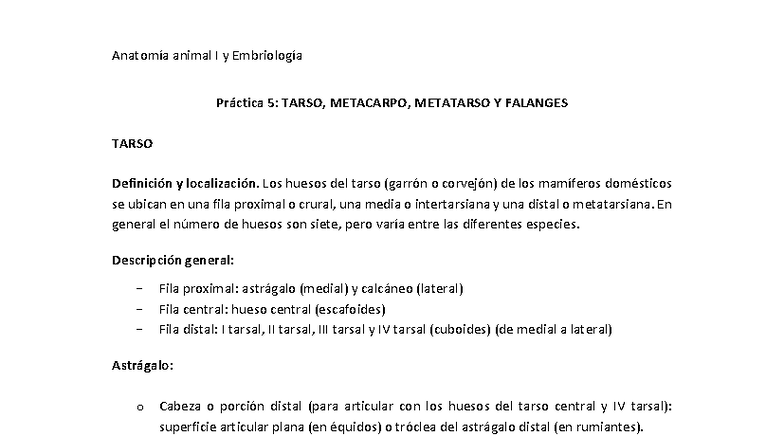P5 - Anatomía Animal I: Tarso, Metacarpo, Metatarso y Falanges - Studocu