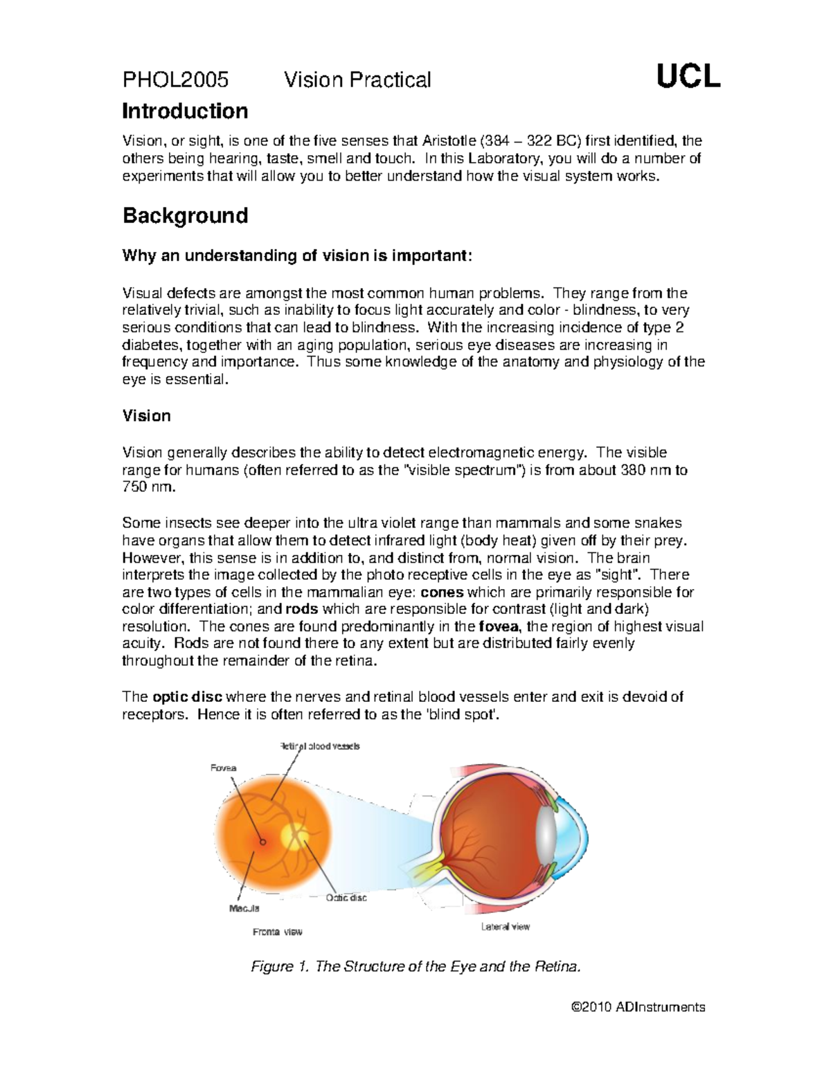 Vision Physiology: Key Concepts and Experiments in Eye Function - Studocu