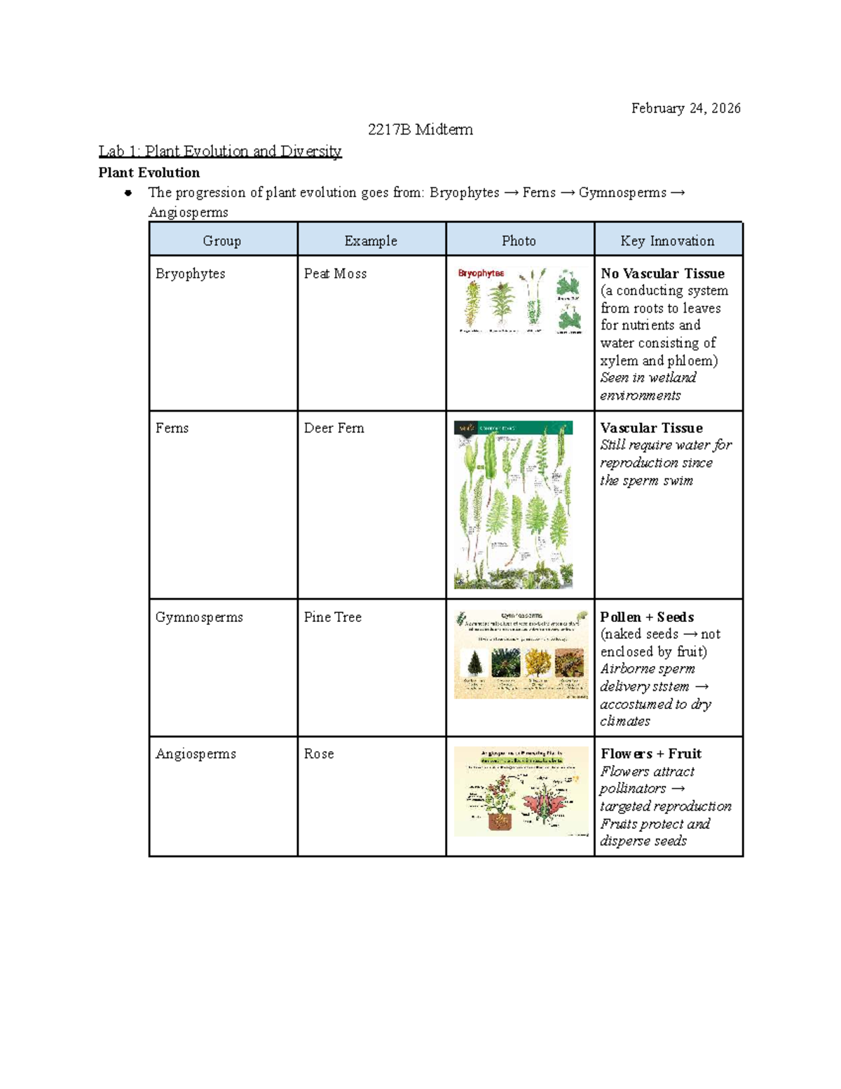 2217B Midterm Lab 1: Plant Evolution & Diversity Notes - Studocu